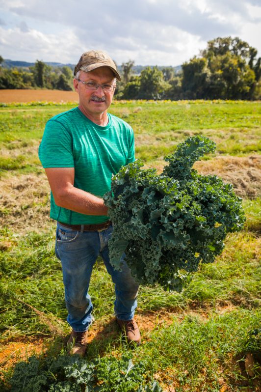 Pumpkin Kale Salad w/ Tahini Dressing | A-Yo Kitchen